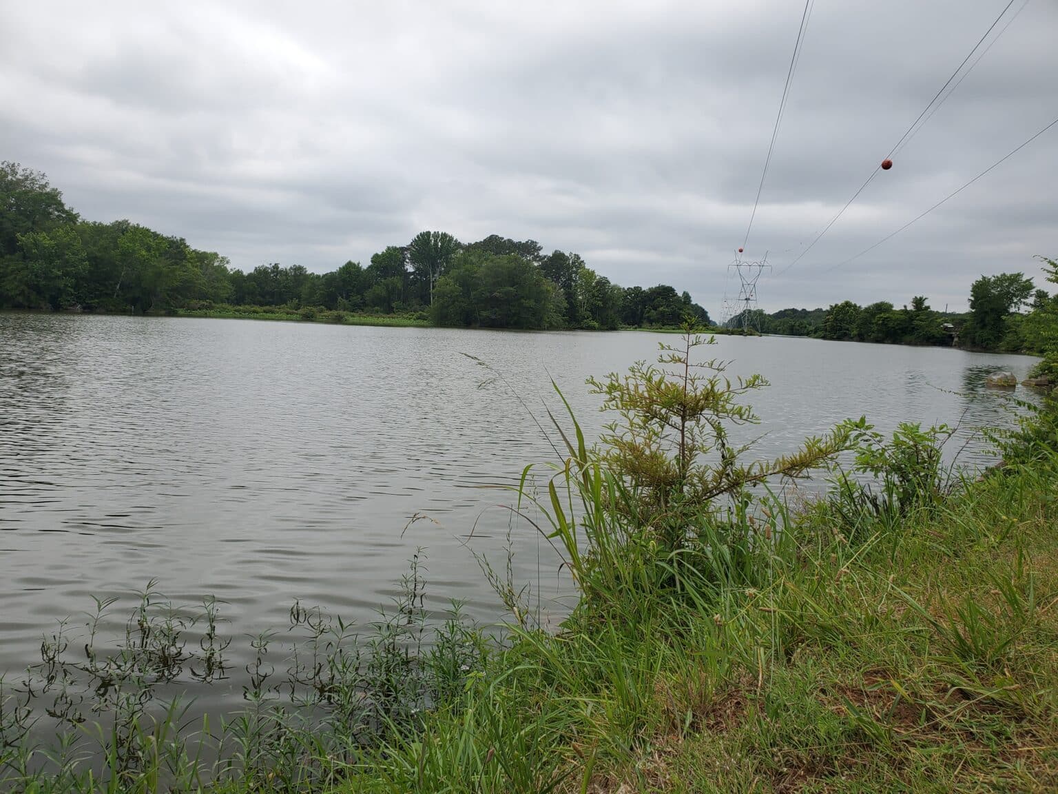 Paddler's Paradise: Wheeler Wildlife Refuge Flint Creek Canoe Trail ...